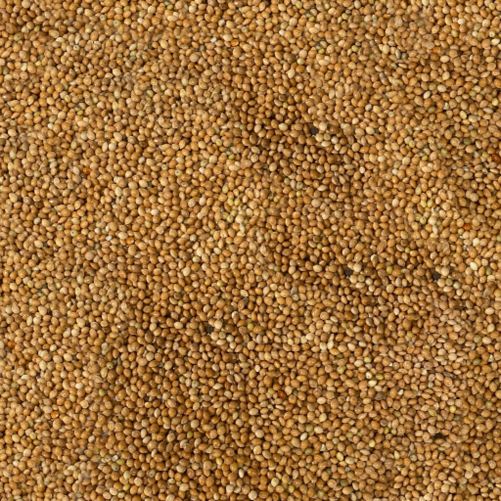Gul Hirse - 20 kg