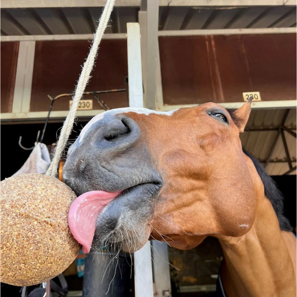 Unika Balls Elyte - 1,8 kg