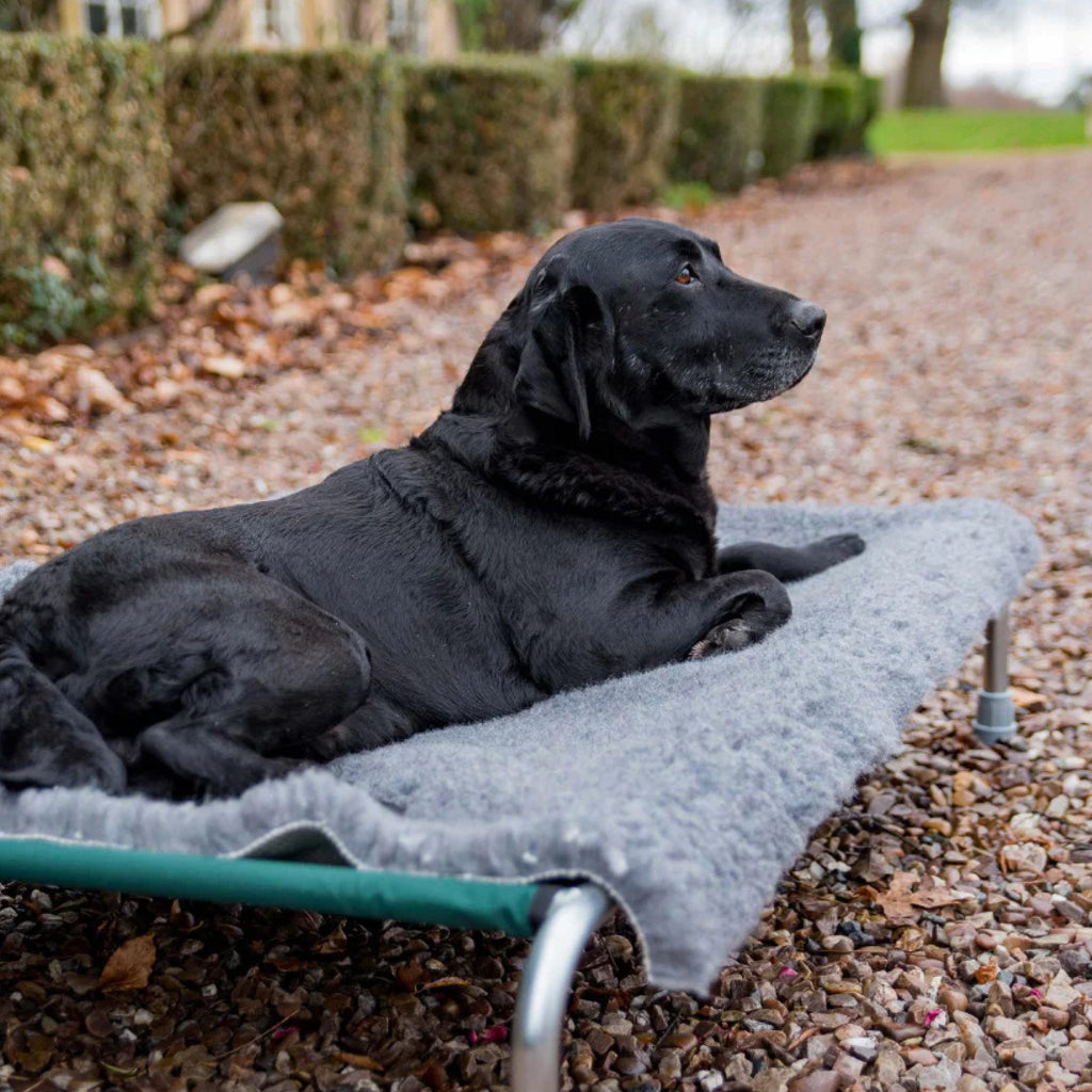 Original Vetbed Non-Slip - 75 x 100 cm