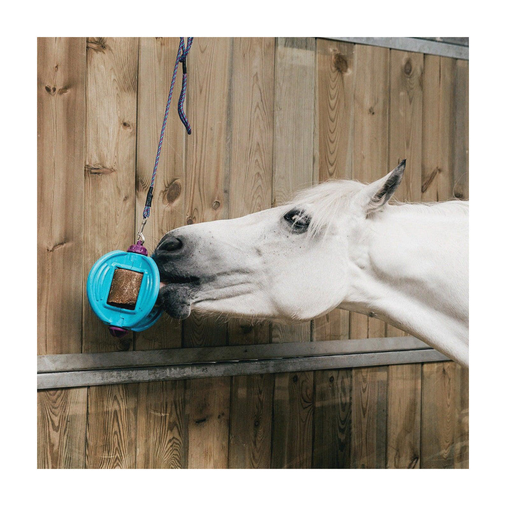 Bizzy Horse Lick Refill - Lakrids - 1 kg